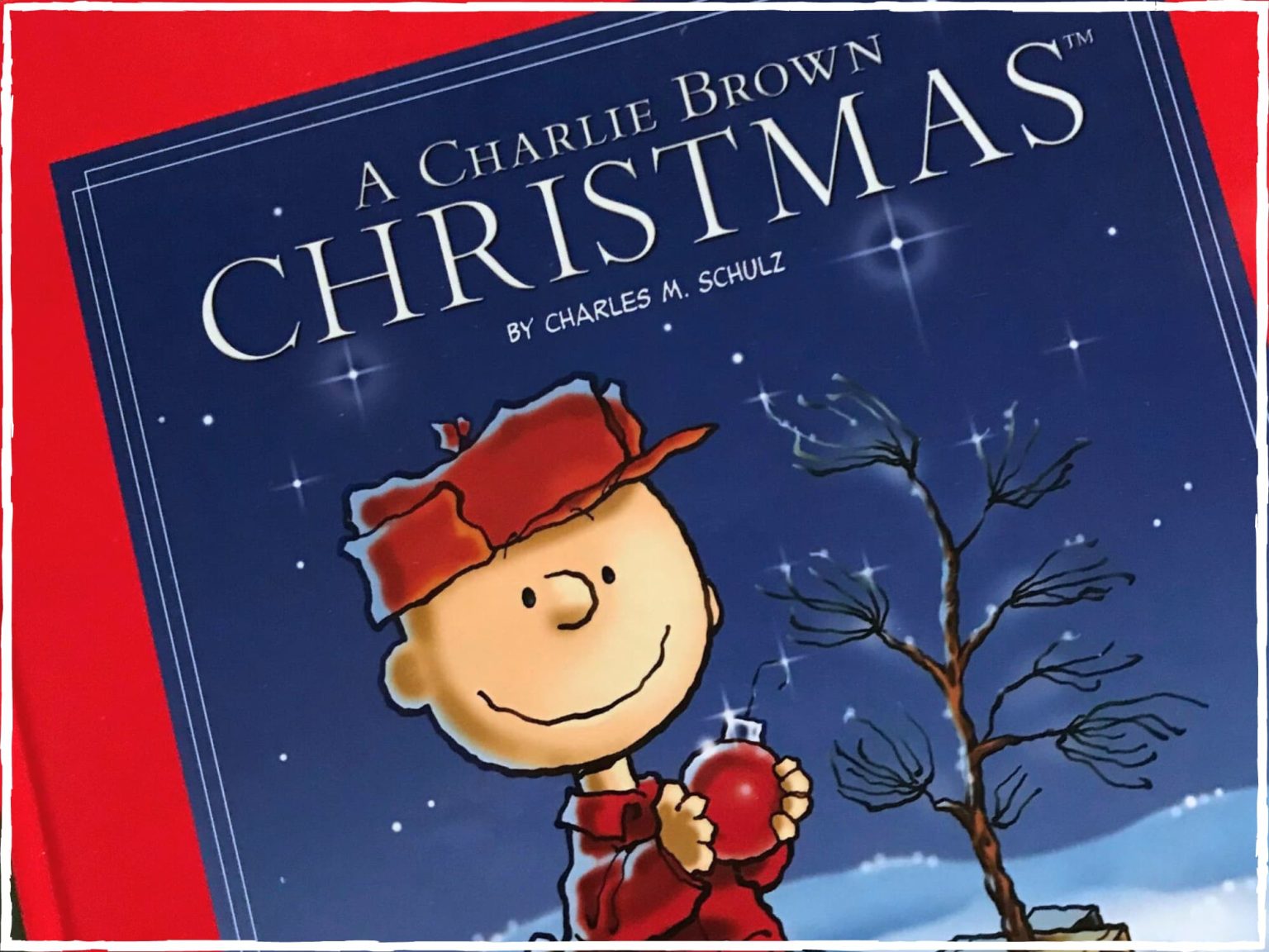 18 Cozy Charlotte Mason Christmas Living Books You Need Now {2026}