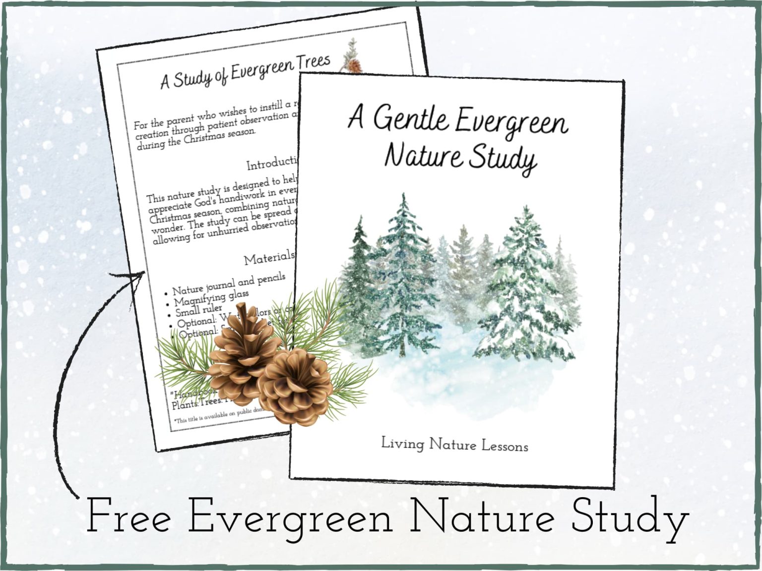 A Gentle Evergreen Study: Living Christmas Nature Lessons