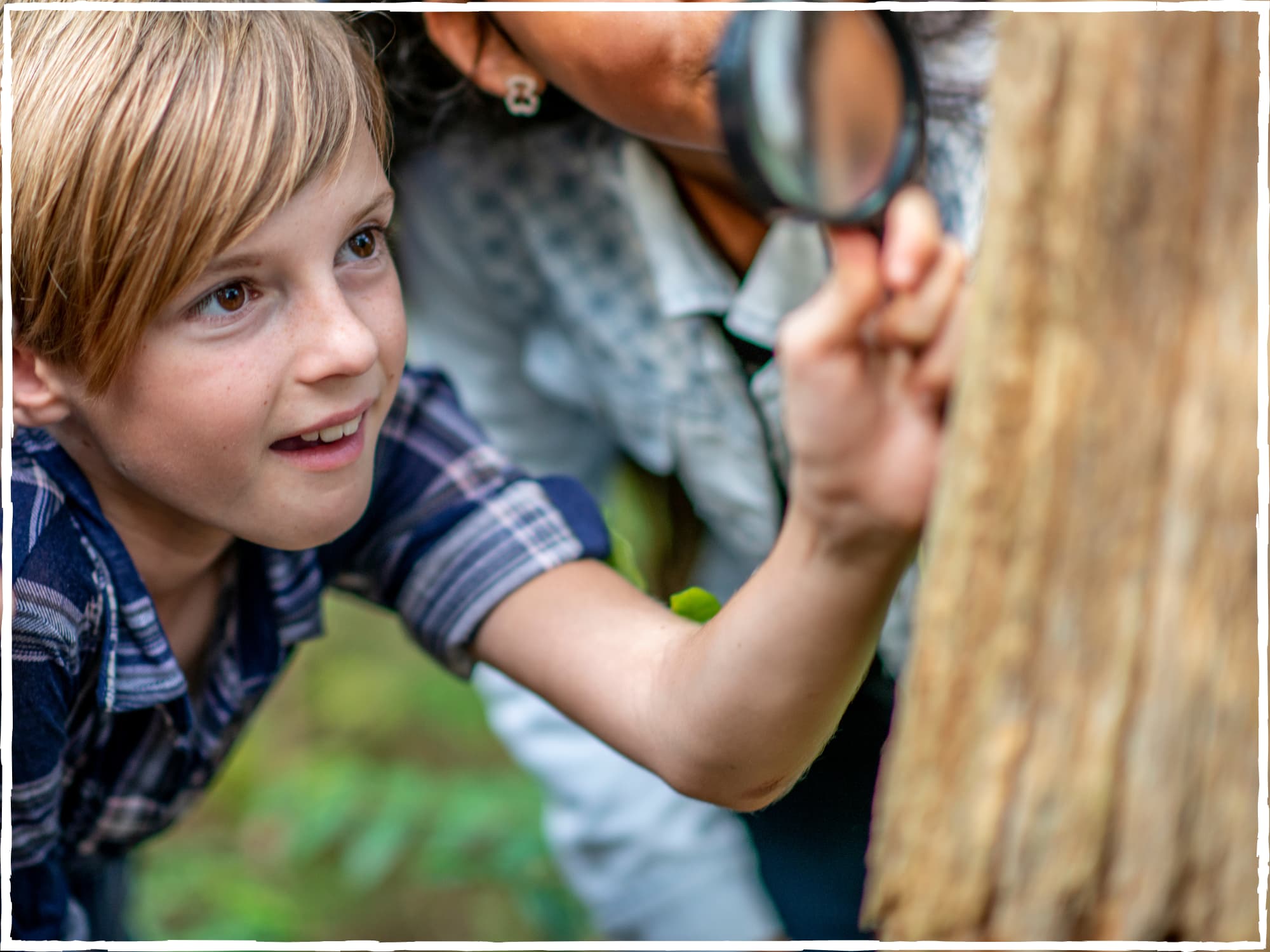 Simple Charlotte Mason Spring Nature Study Ideas {2026}
