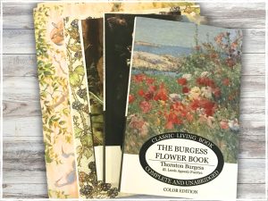 19+ Summer Living Books for Charlotte Mason Homeschoolers {2026}